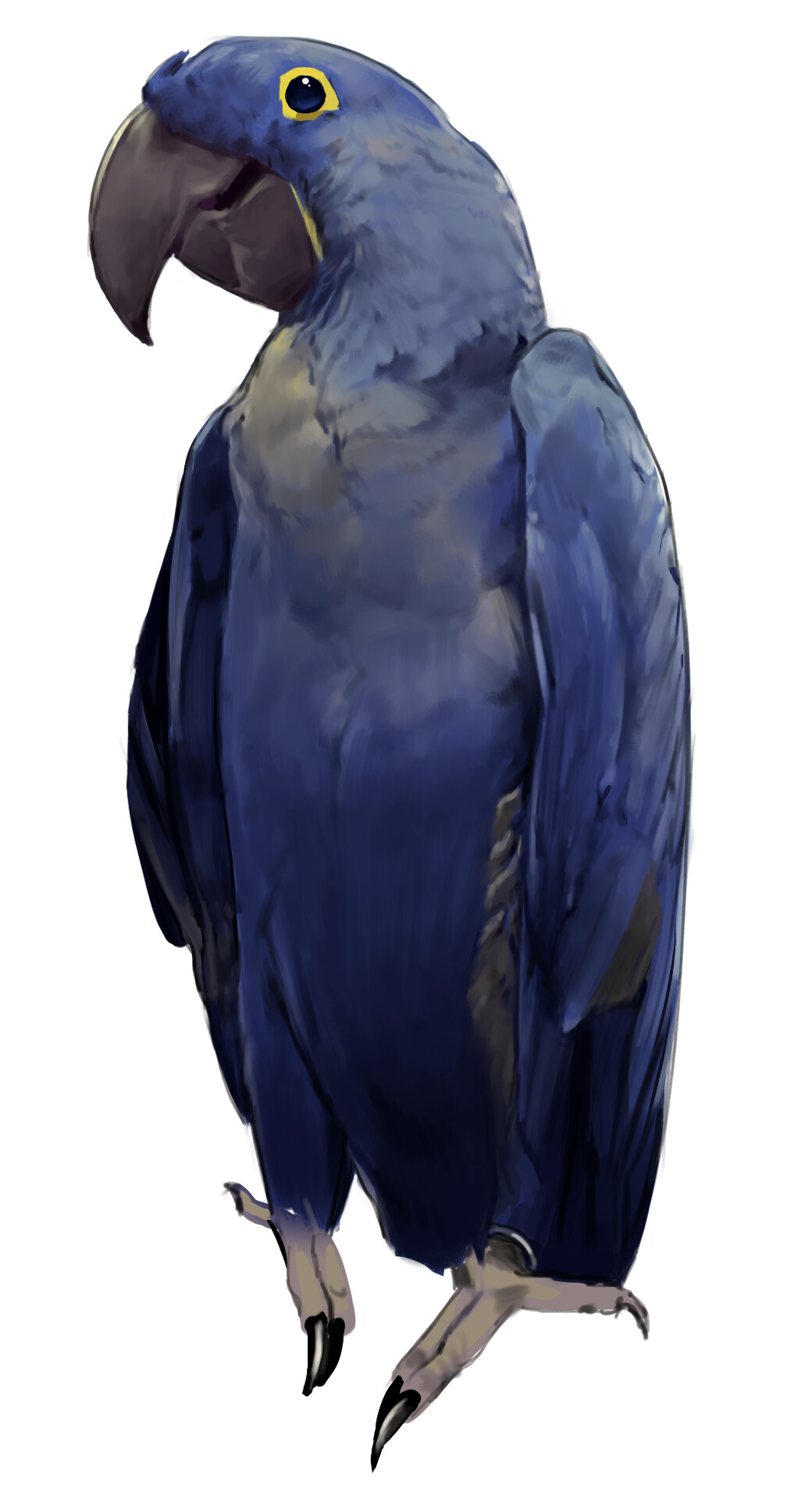 ArtStation - Hyacinth