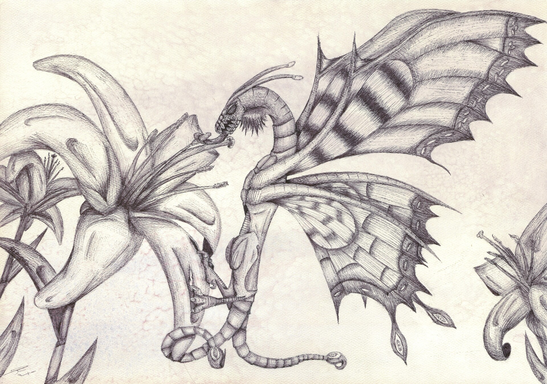 ArtStation - Fay Dragon