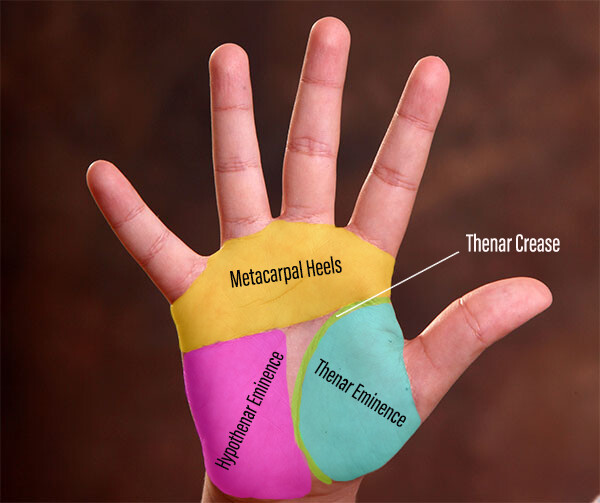 Alejandro Flores Pérez - 06 Estudio de Referencias Musculares: Manos y Pies