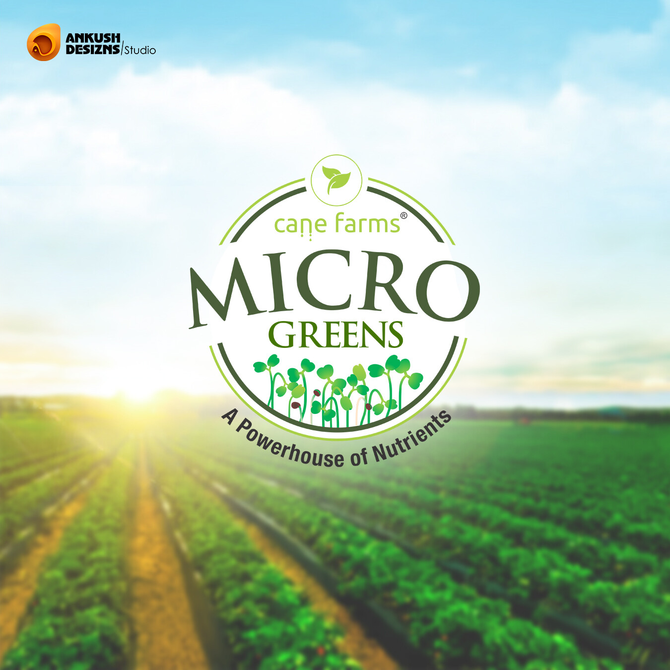 ArtStation - Canefarms Micro Greens Logo