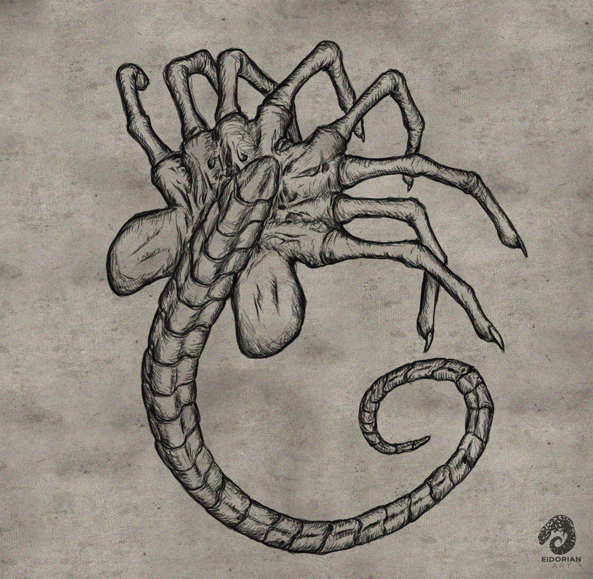 how to draw a facehugger