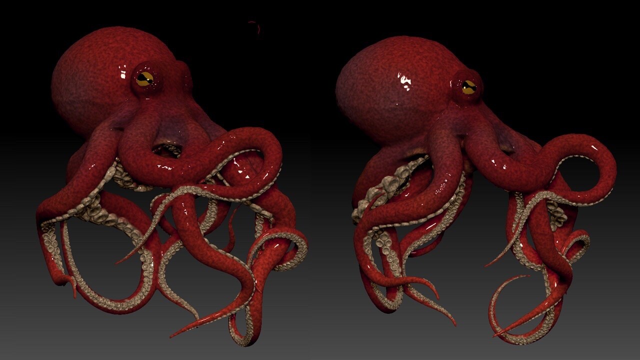 ArtStation - Octopus Modelling task