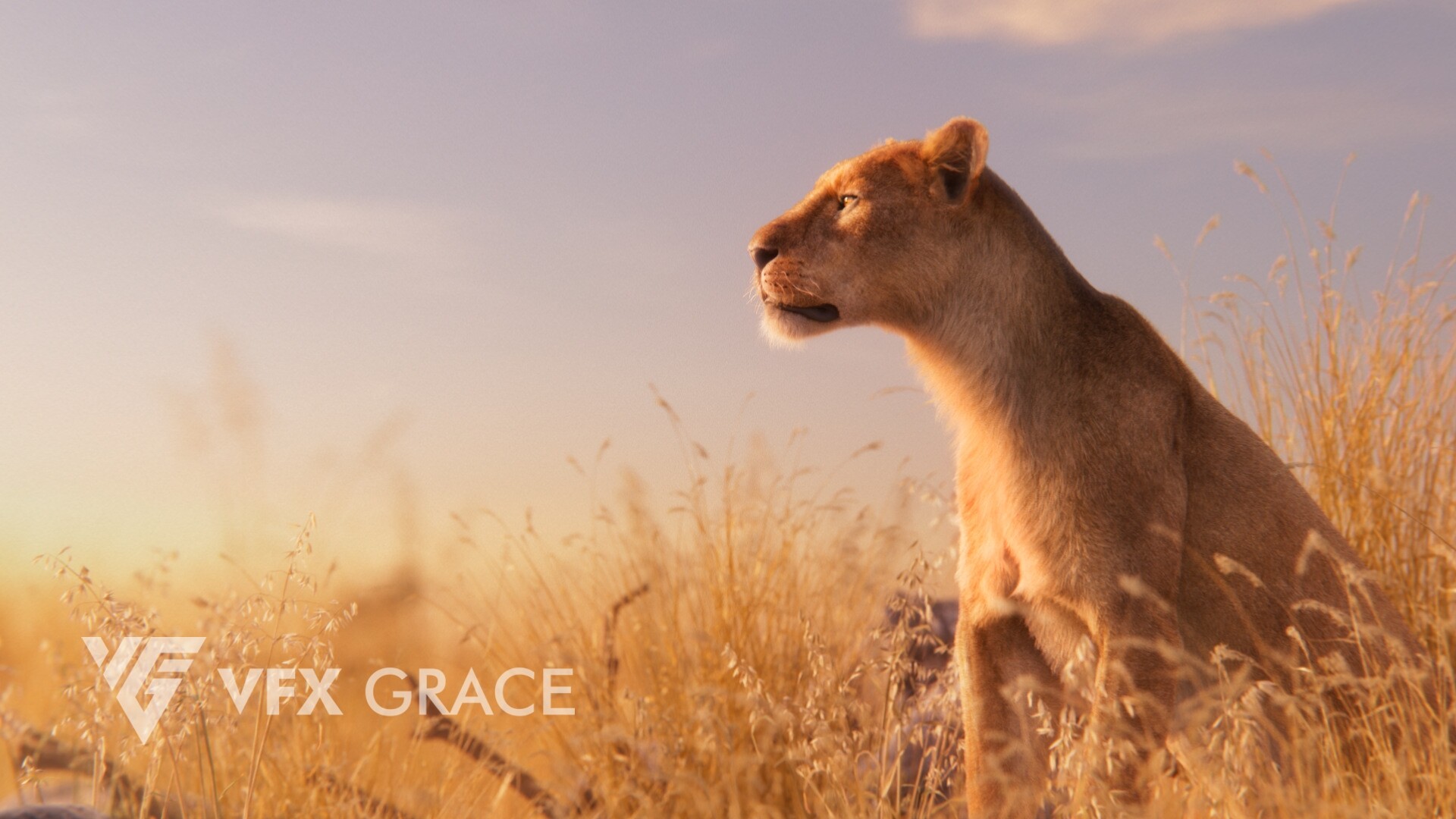 VFX models - Female Lion model