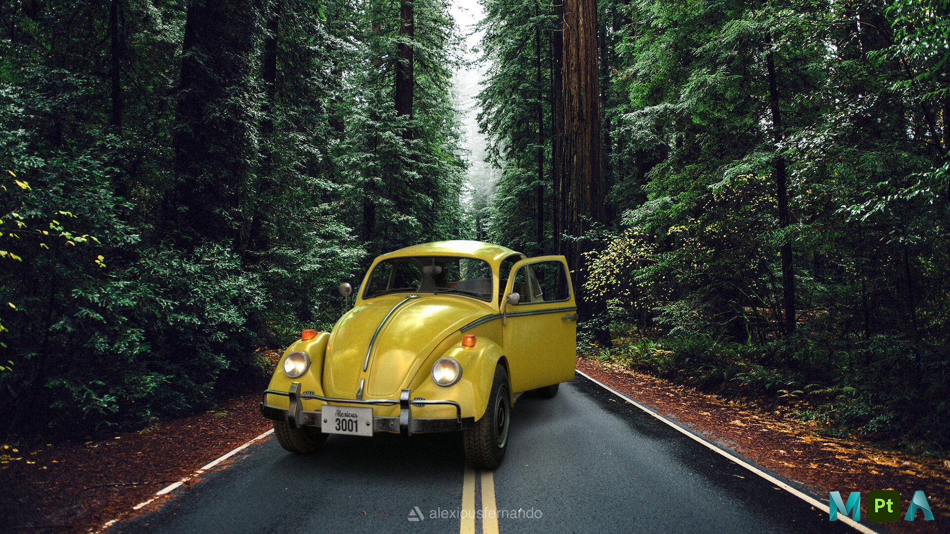 Alexious Fernando - Beetle Car