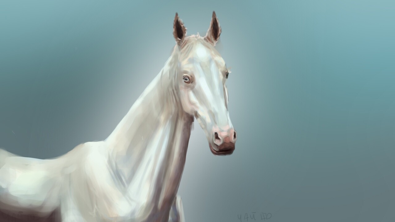 ArtStation - Akhal-Teke