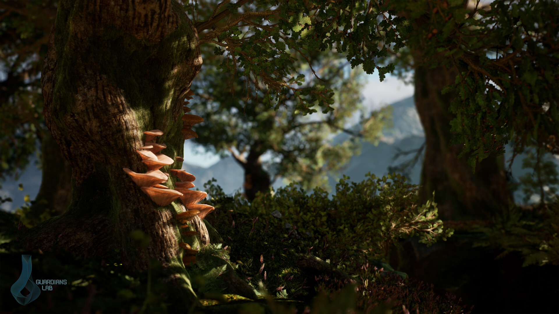 ArtStation - Oak Forest on the edge