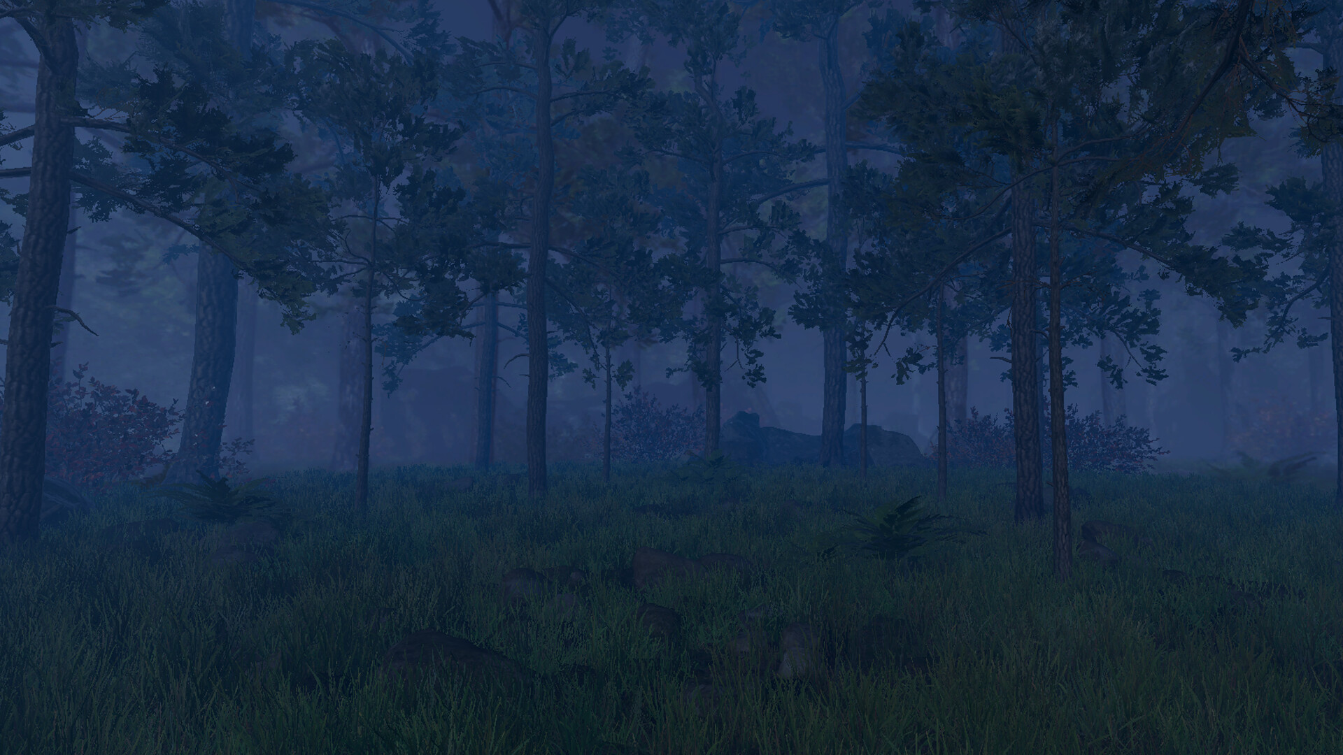 forest night skybox