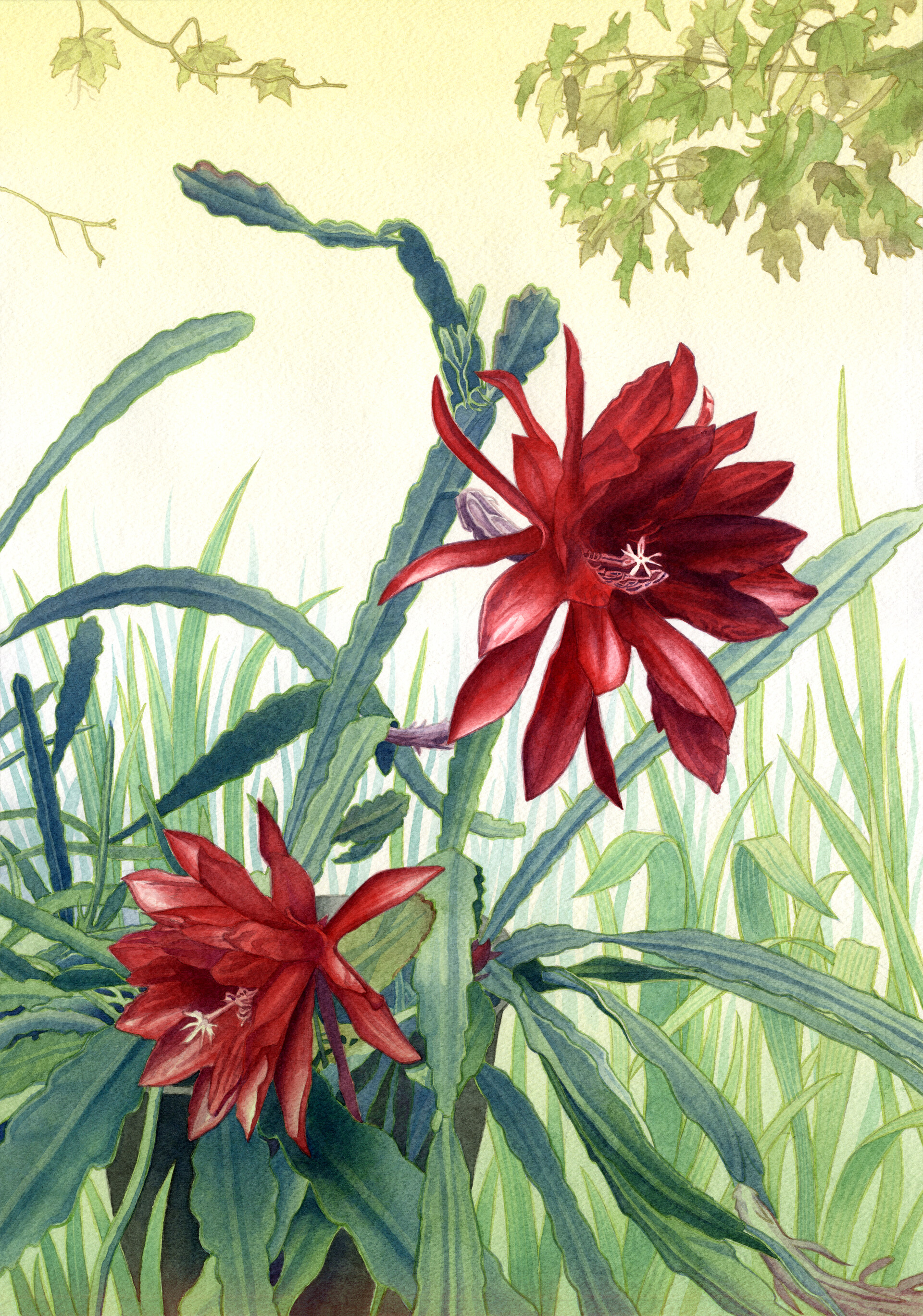 Alan Hawley - Acrylic and Oil Paintings