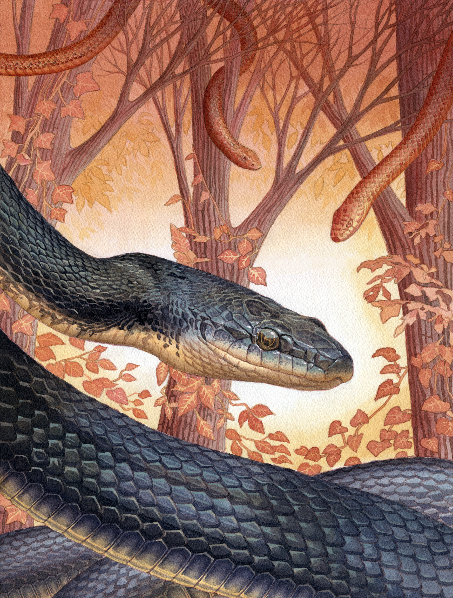 Alan Hawley - Acrylic and Oil Paintings