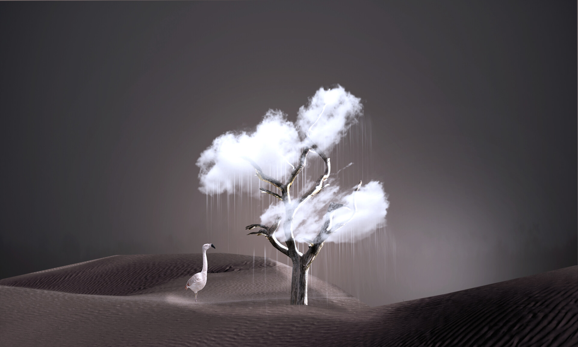 ArtStation - Fantasy Tree Cloud Photo Manipulation Effects