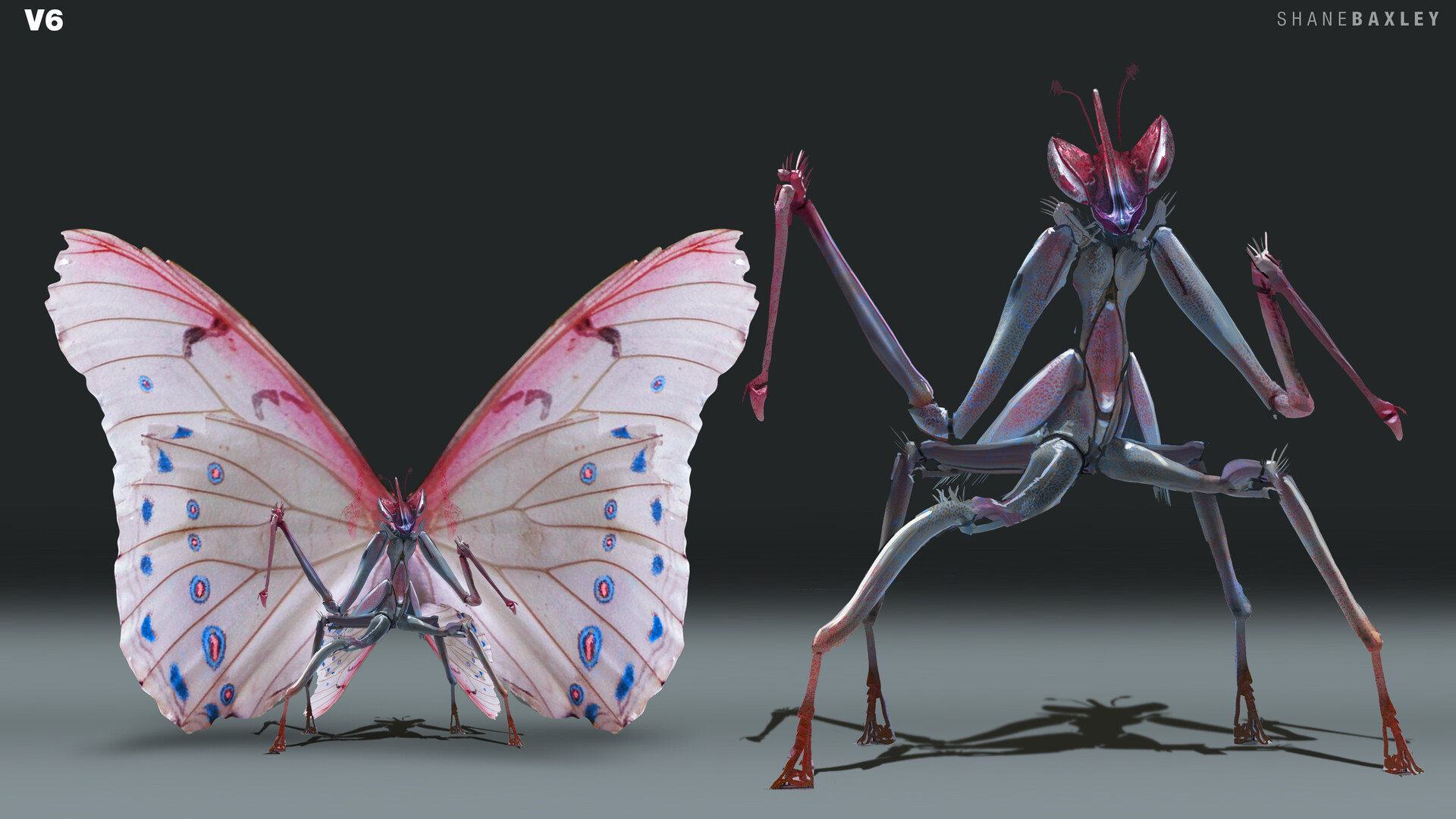 butterflies peacemaker