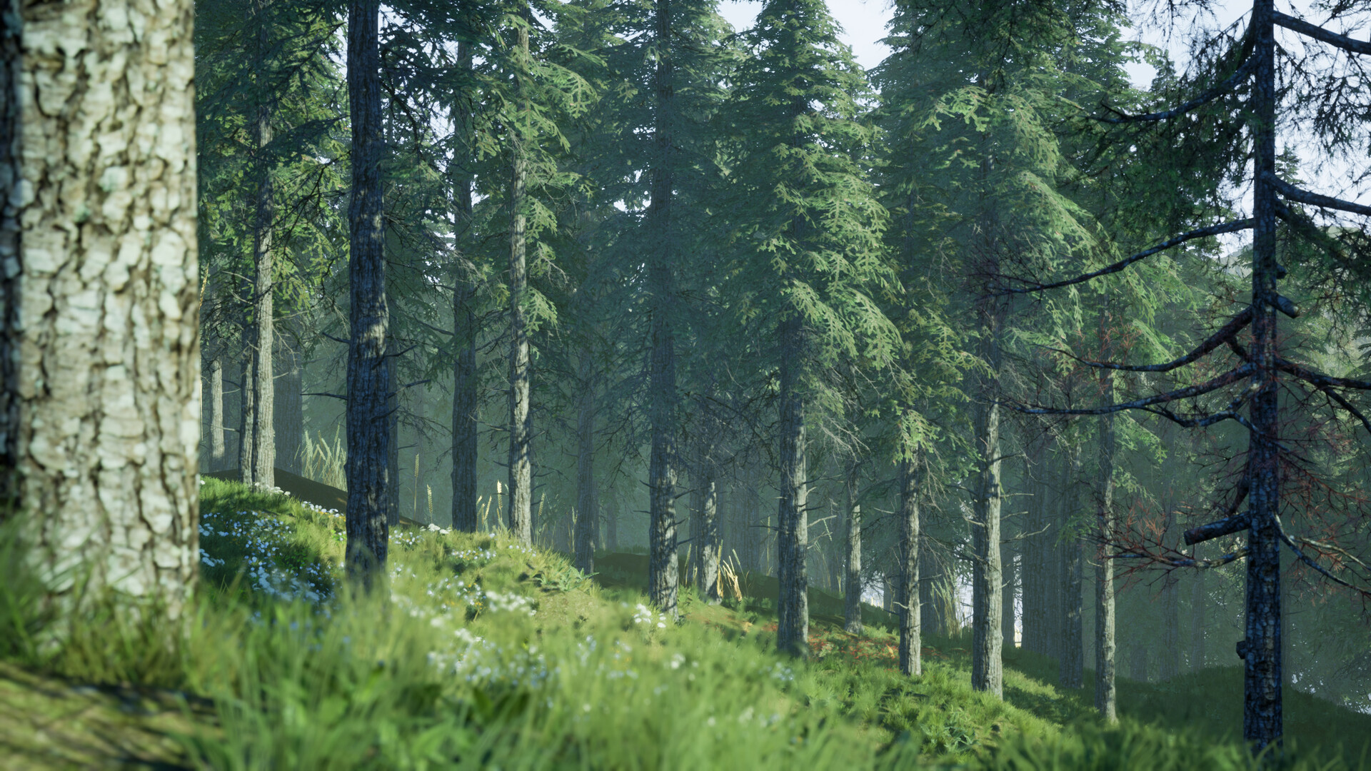 ArtStation - Forest