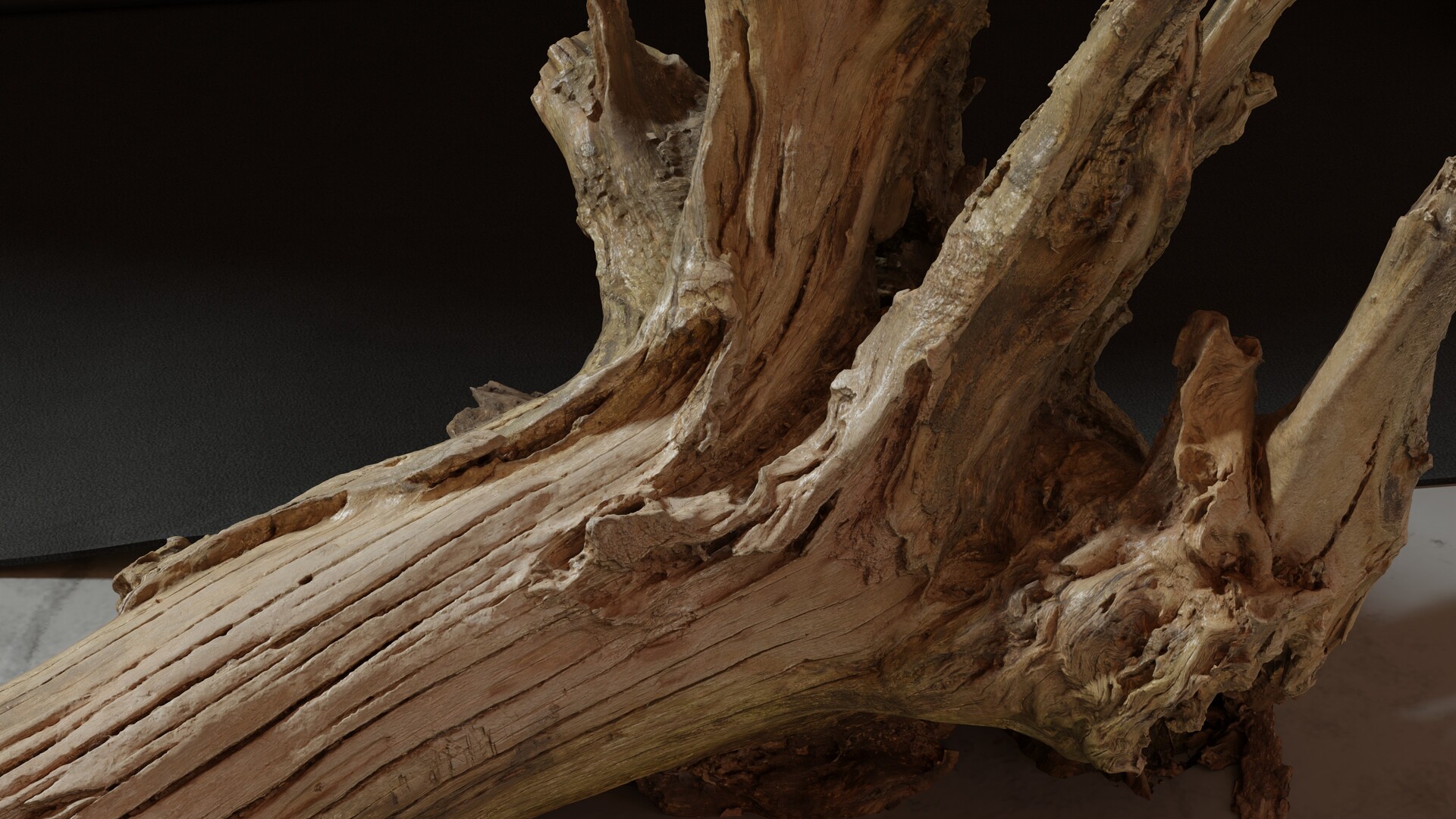 ArtStation - Fallen Tree Photogrammetry