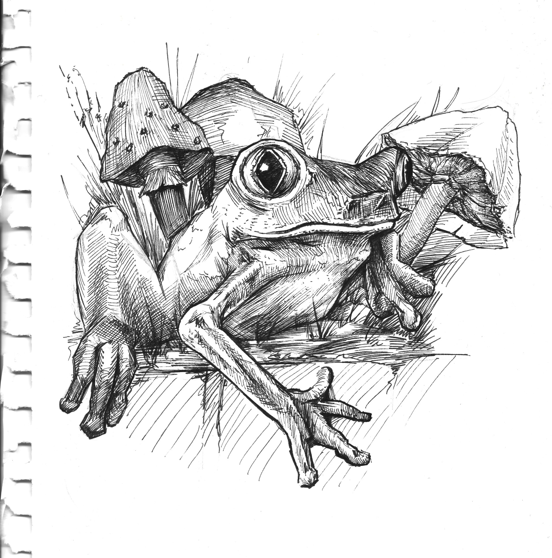 ArtStation - Frog and Shrooms