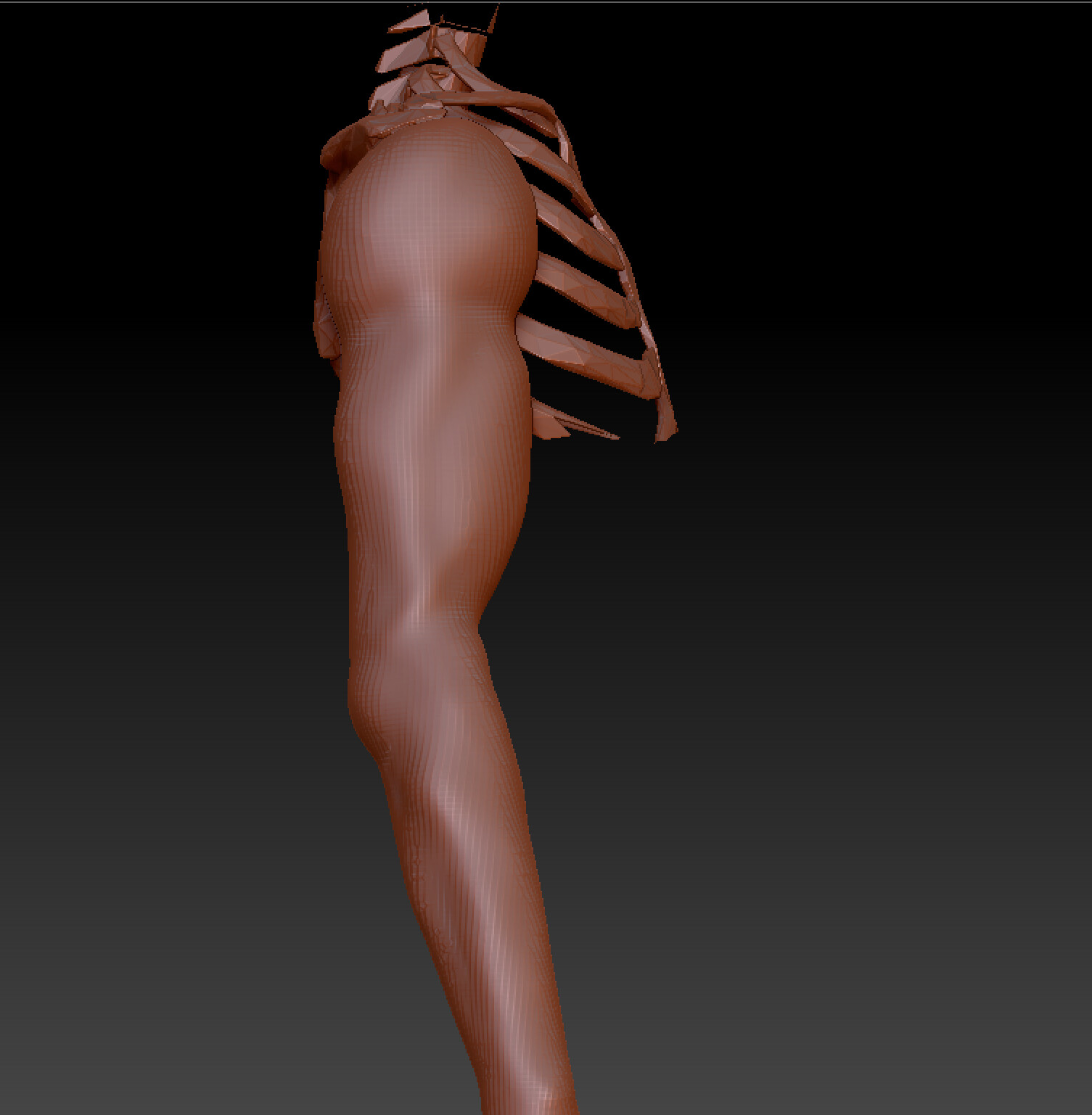 Dalton Morris - Arm Study