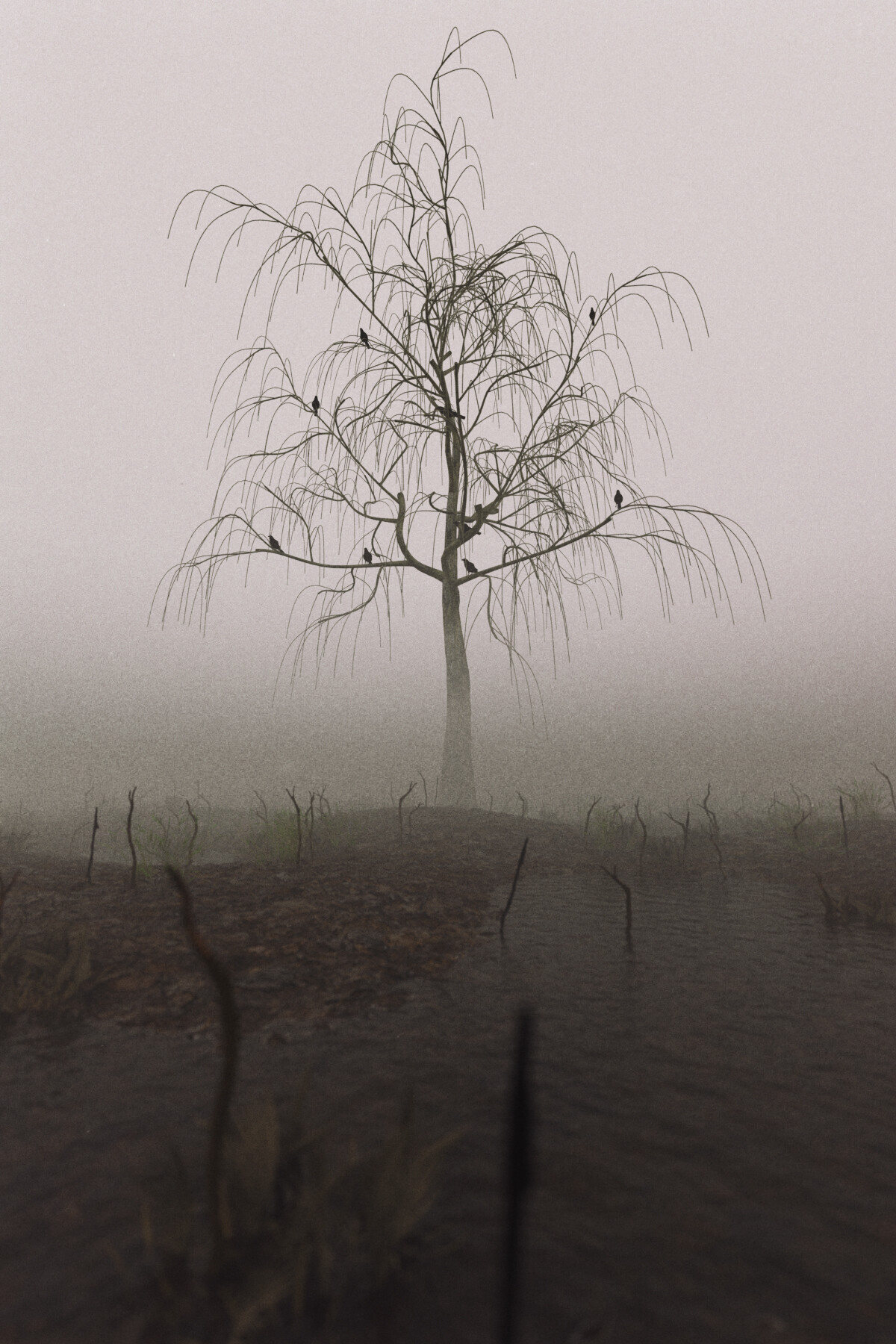 Capucho - Forest Mud