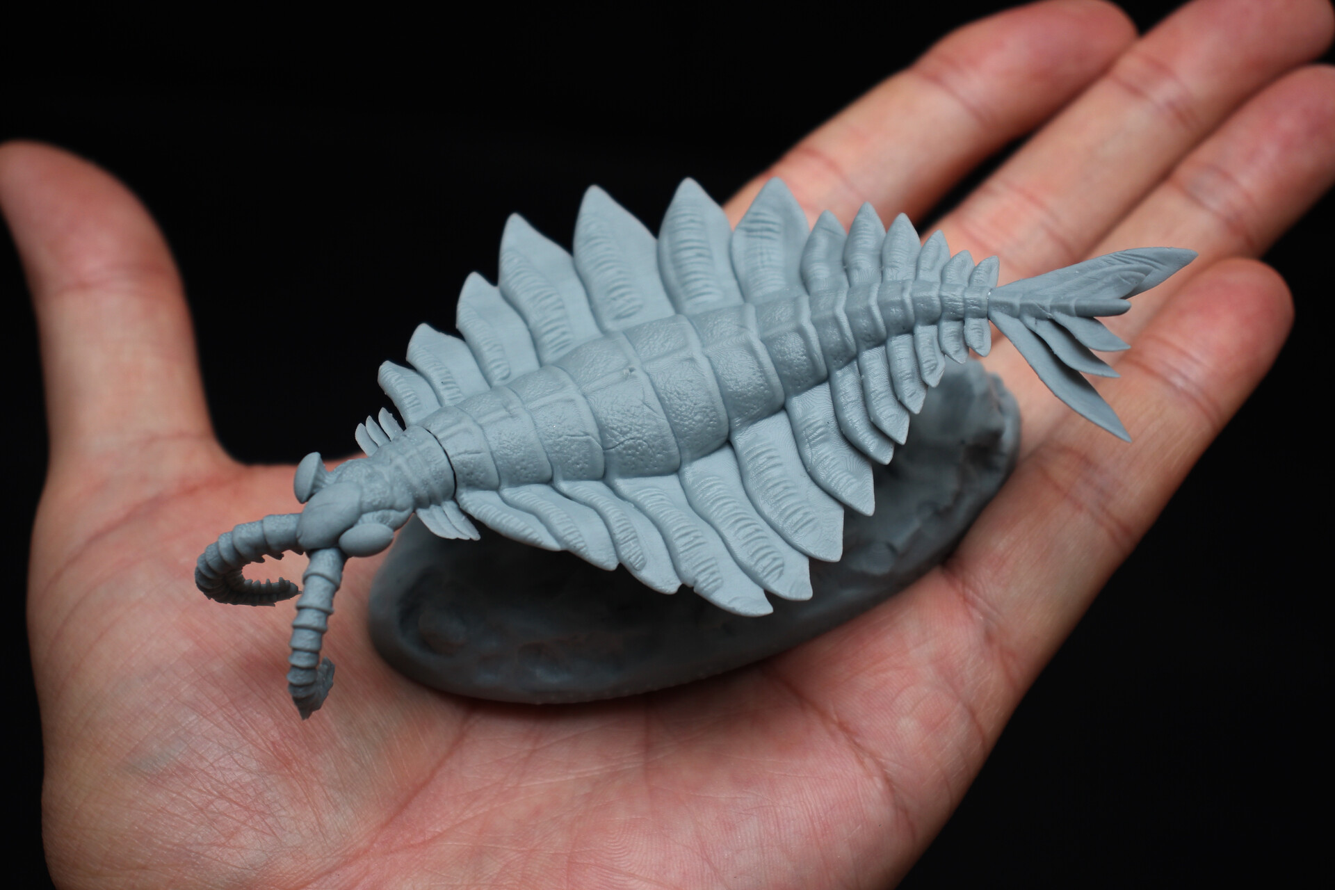 ArtStation - Anomalocaris, a new approach