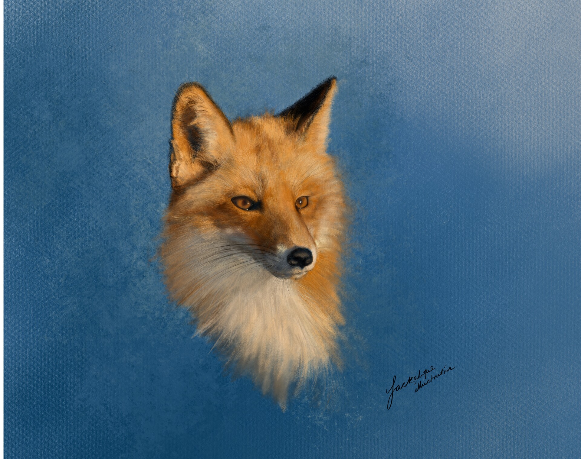 ArtStation - Blue fox