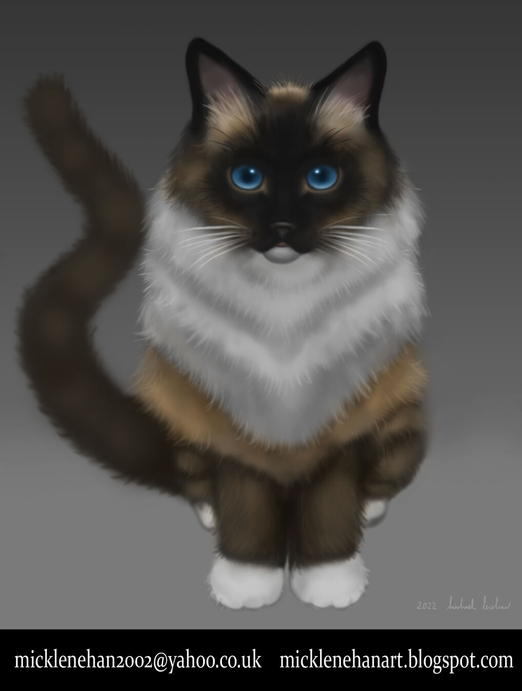 ArtStation - Ragdoll Cat Digital Painting