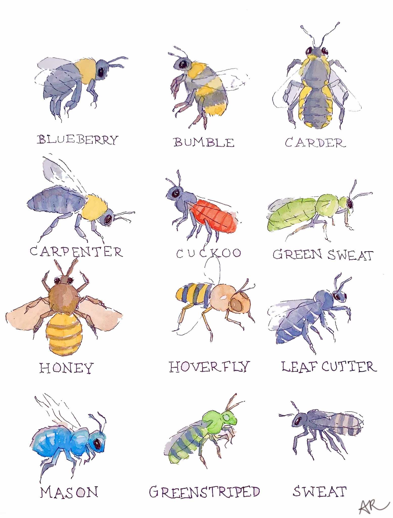 ArtStation - Types of Bees