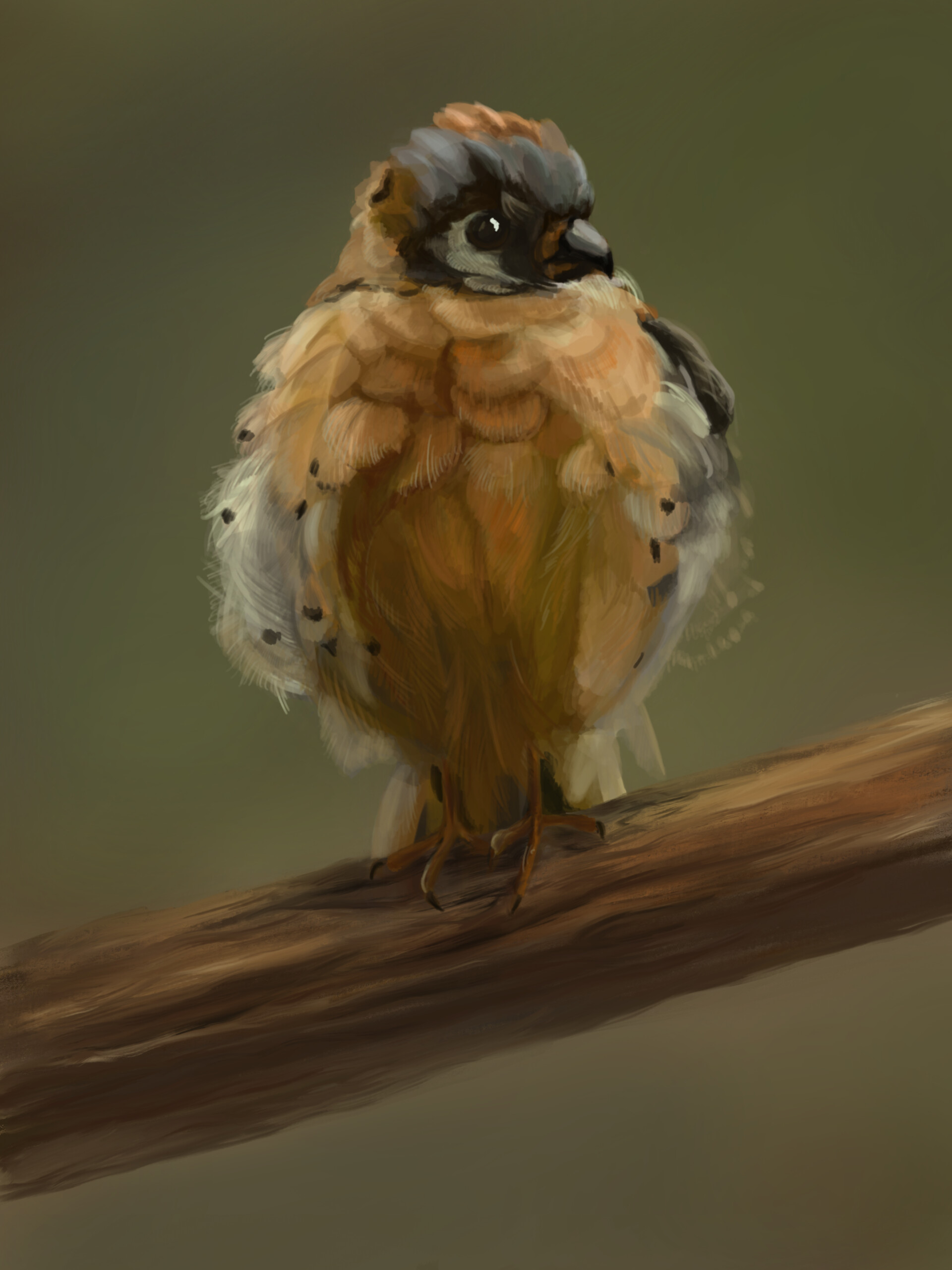 ArtStation - Sparrow