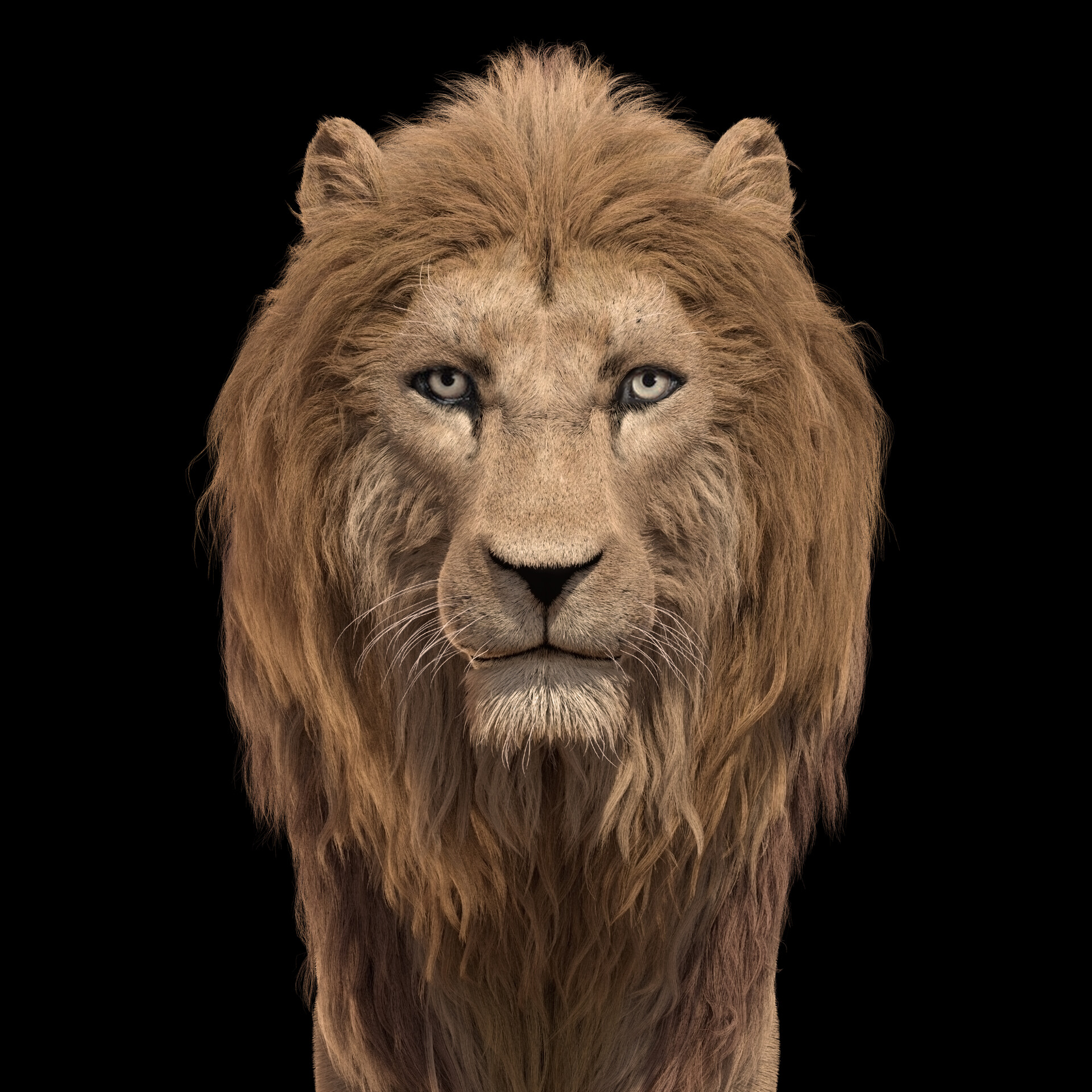 ArtStation - Lion : WIP
