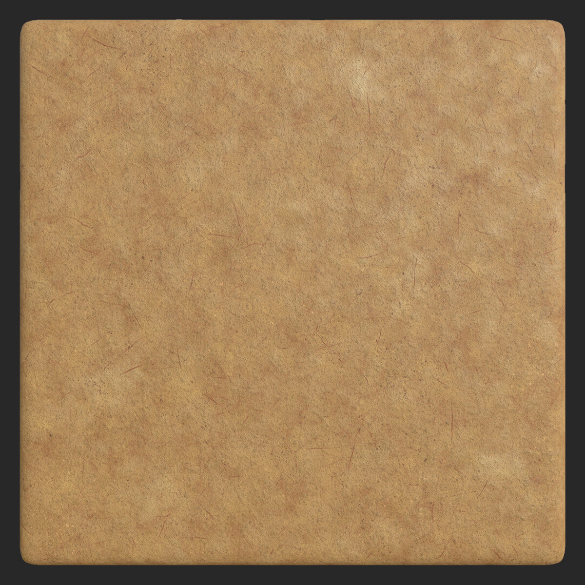 TextureCan - Plain Cardboard