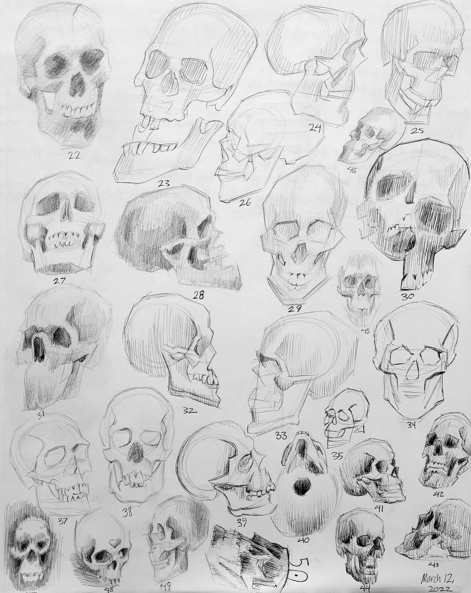 ArtStation - More Skulls