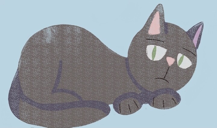 ArtStation - Arlo the Cat