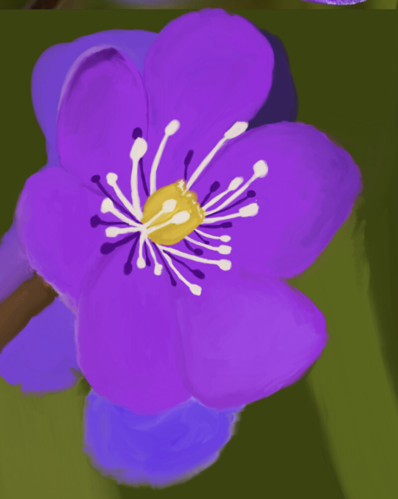 ArtStation - jan strydom