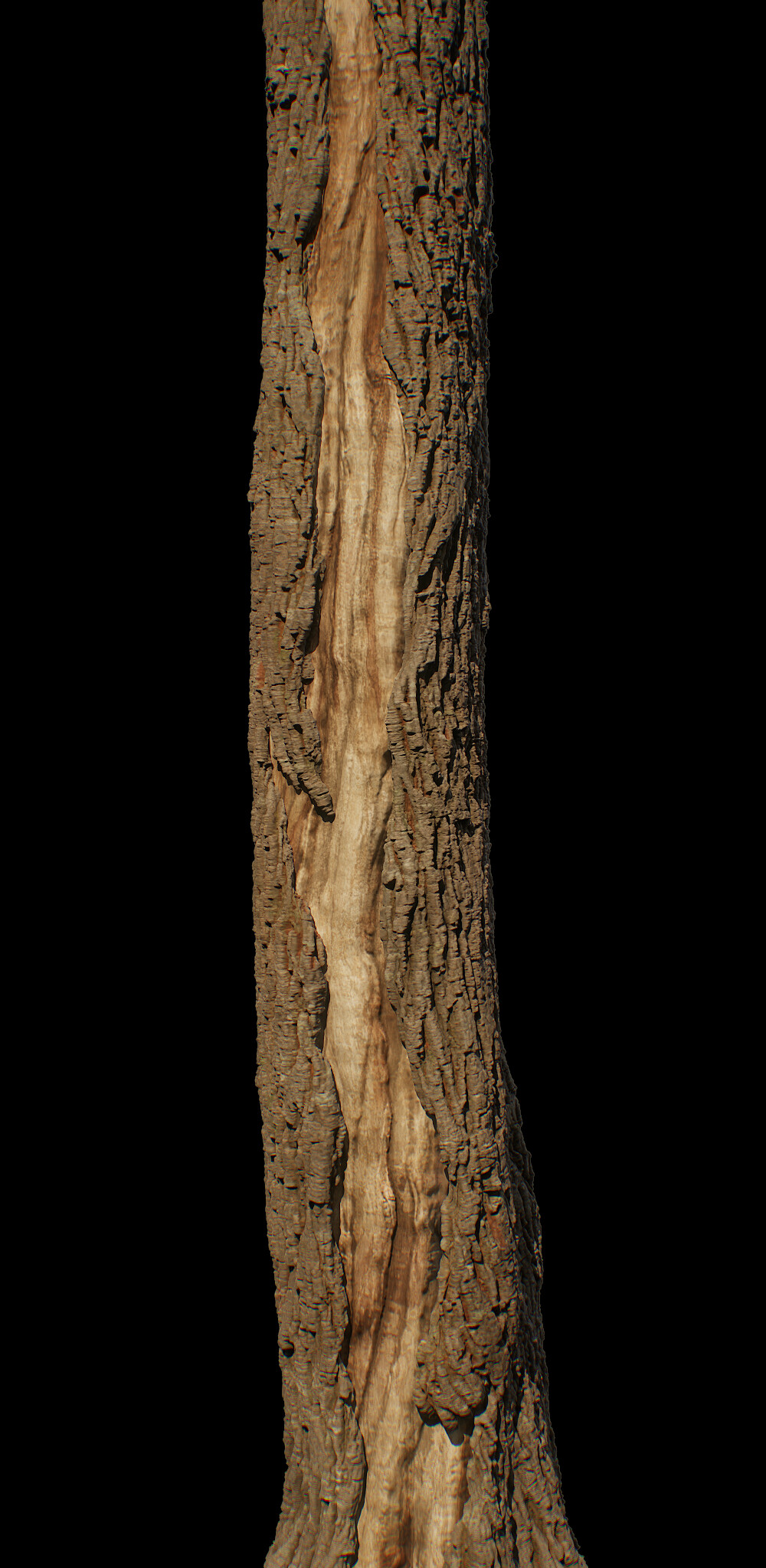 Max Kutsenko - Stripped bark