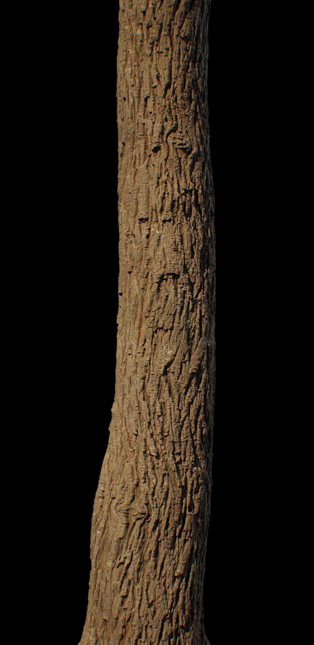 Max Kutsenko - Stripped bark