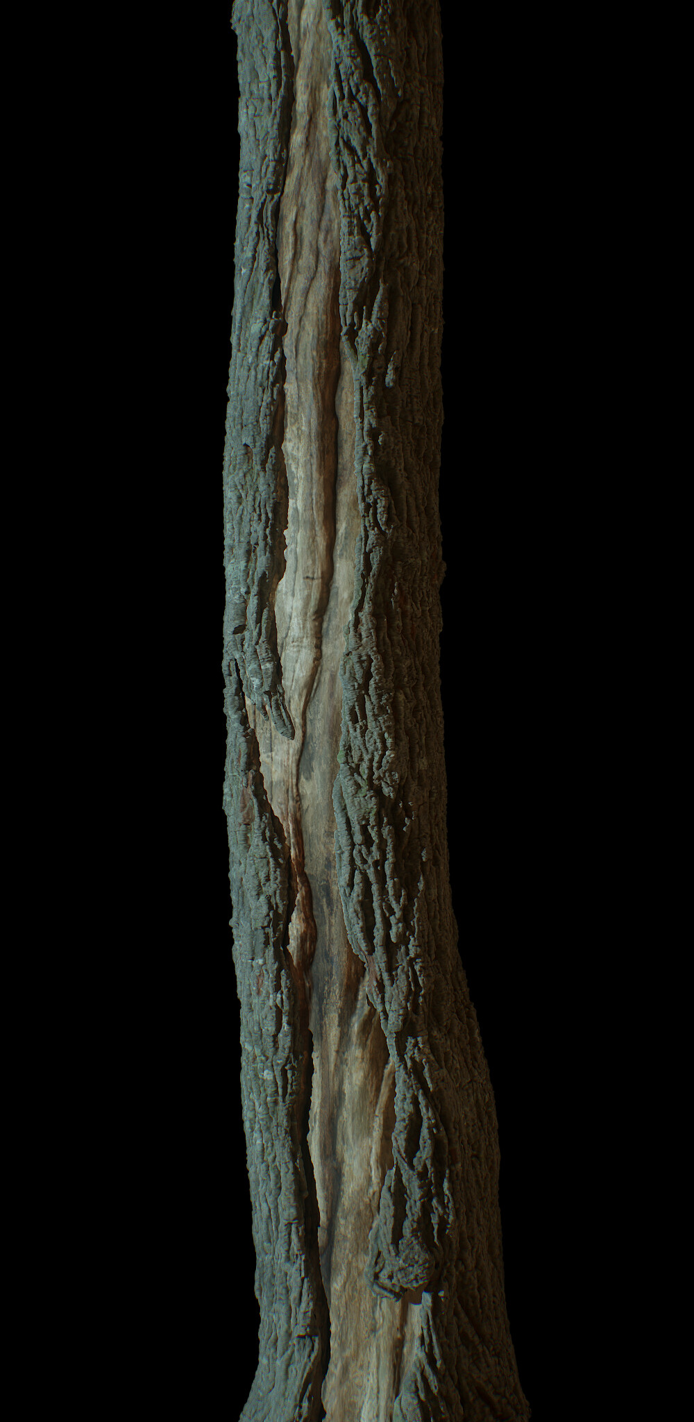 Max Kutsenko - Stripped bark