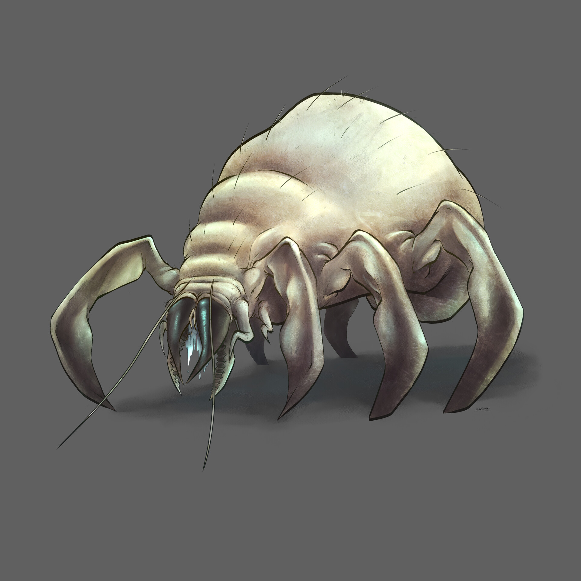 ArtStation - Ore Mite D&D Creature Design