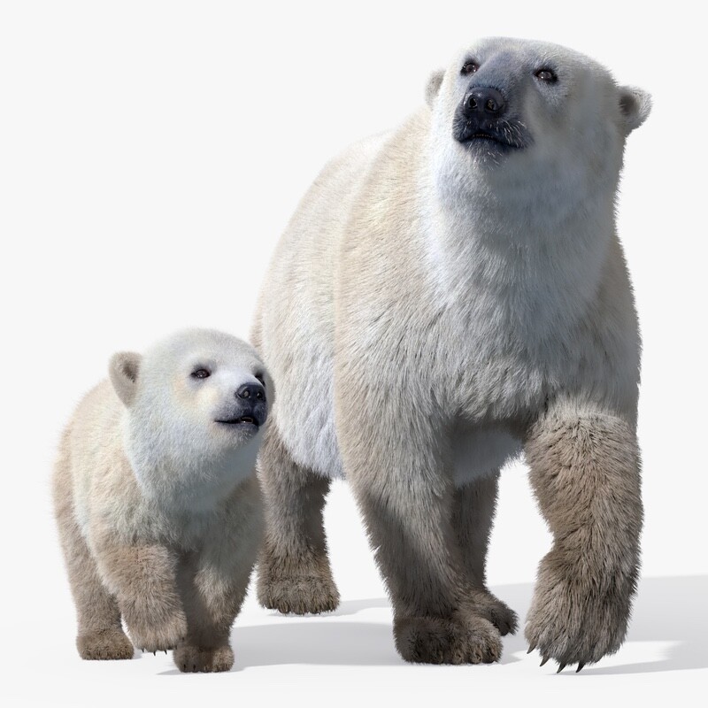 ArtStation - 3d Polar Bear
