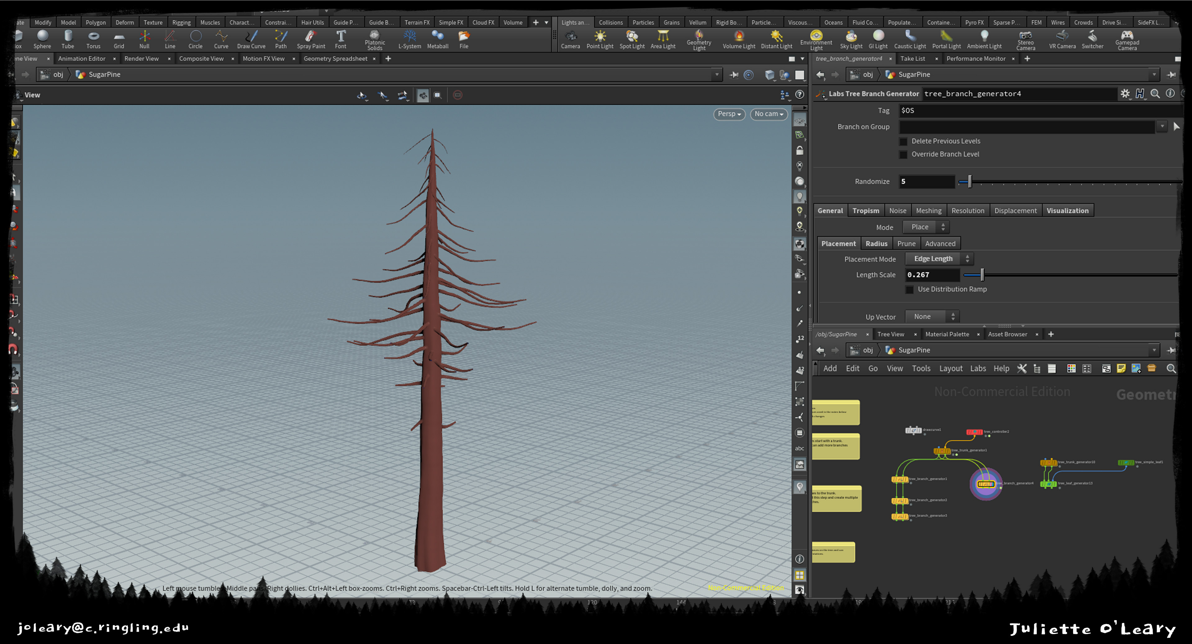 Juliette O’Leary - NQZ - Trees in Houdini
