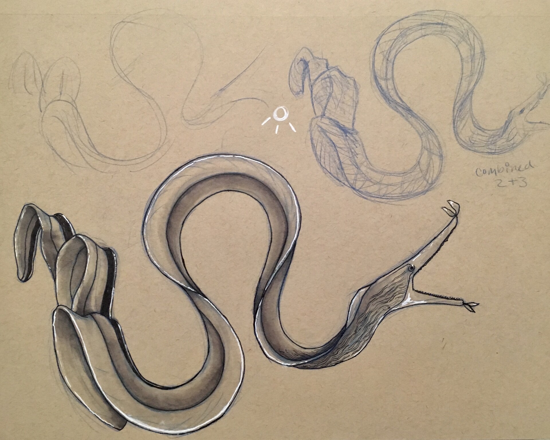 ArtStation - Geometry Practice - Ribbon Eel & Blue Jay