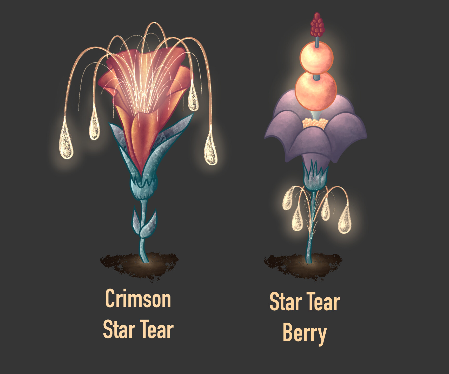 ArtStation - Star Tear Plants
