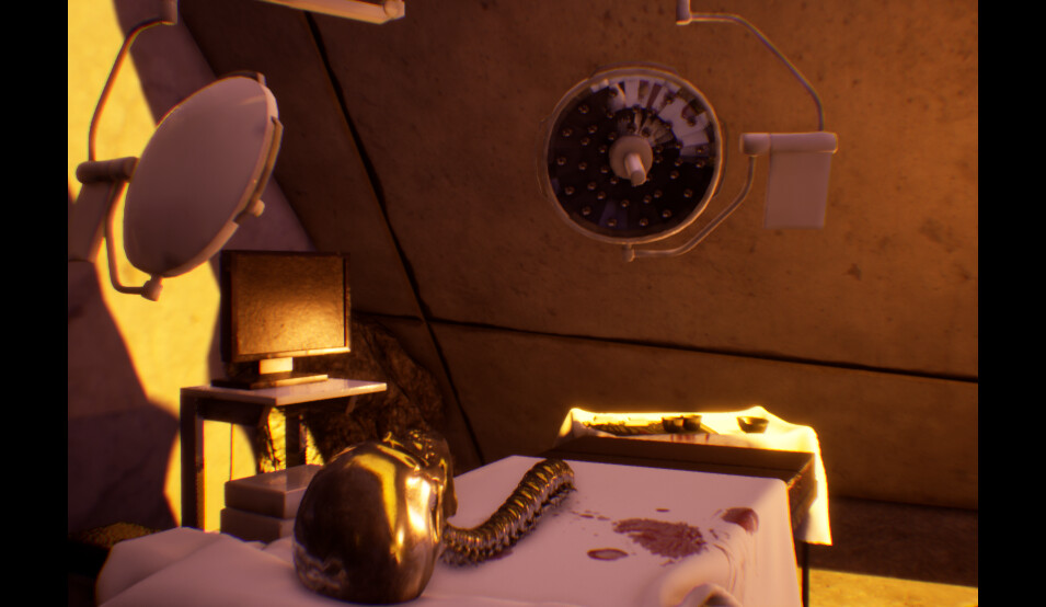 Brenda Esquivel Flores - Operation Hall