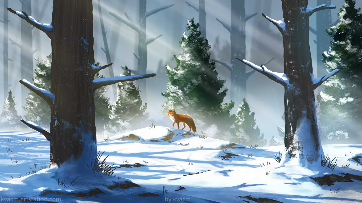 Winter Forest Drawing