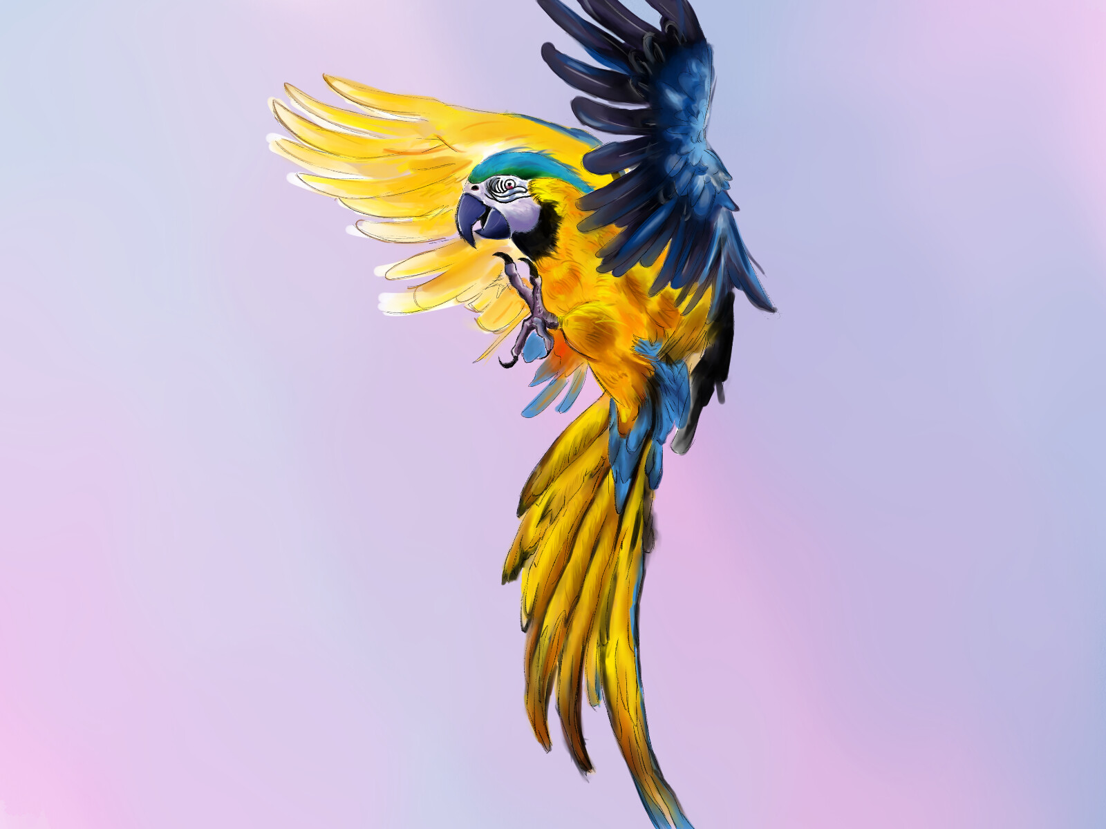 ArtStation - Parrot