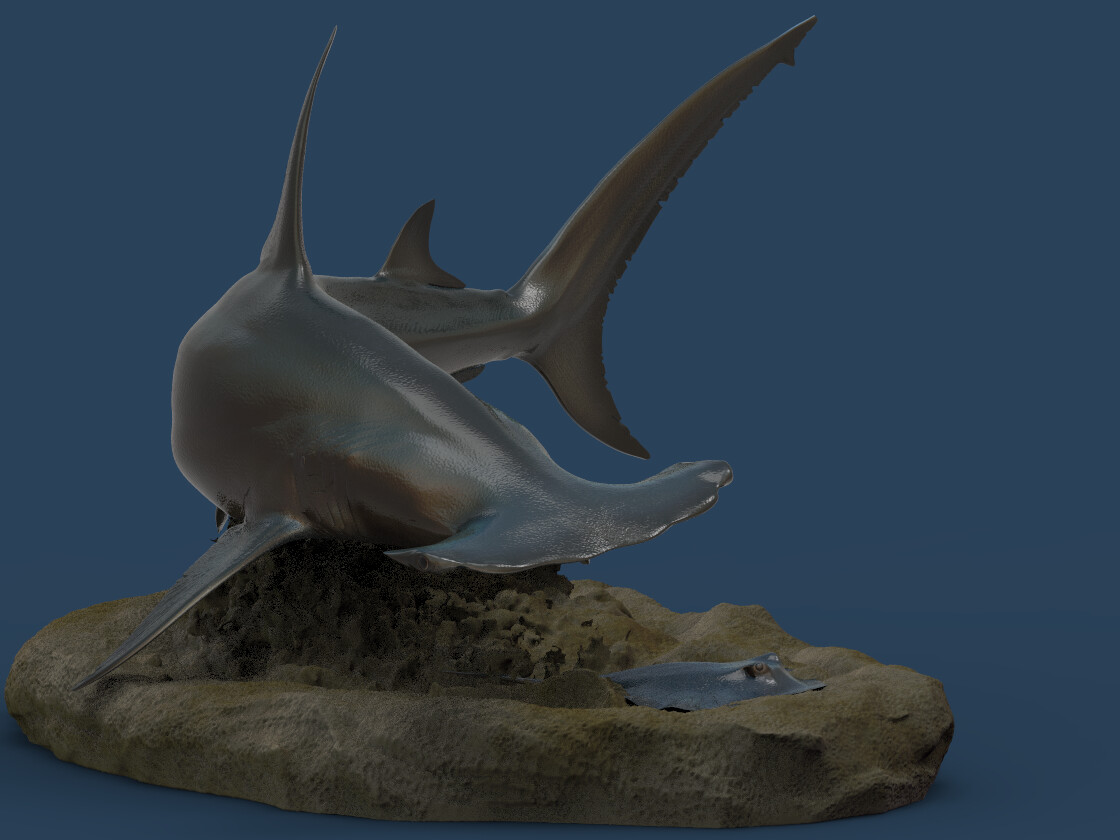 ArtStation - Sphyrna mokarran