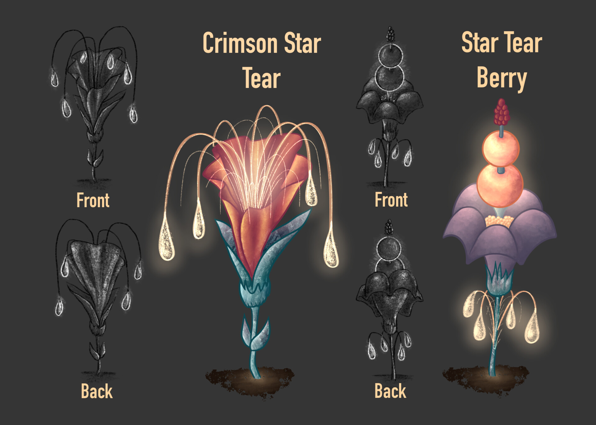 ArtStation - Star Tear Plants