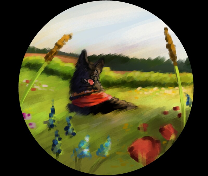 ArtStation - morgane fry