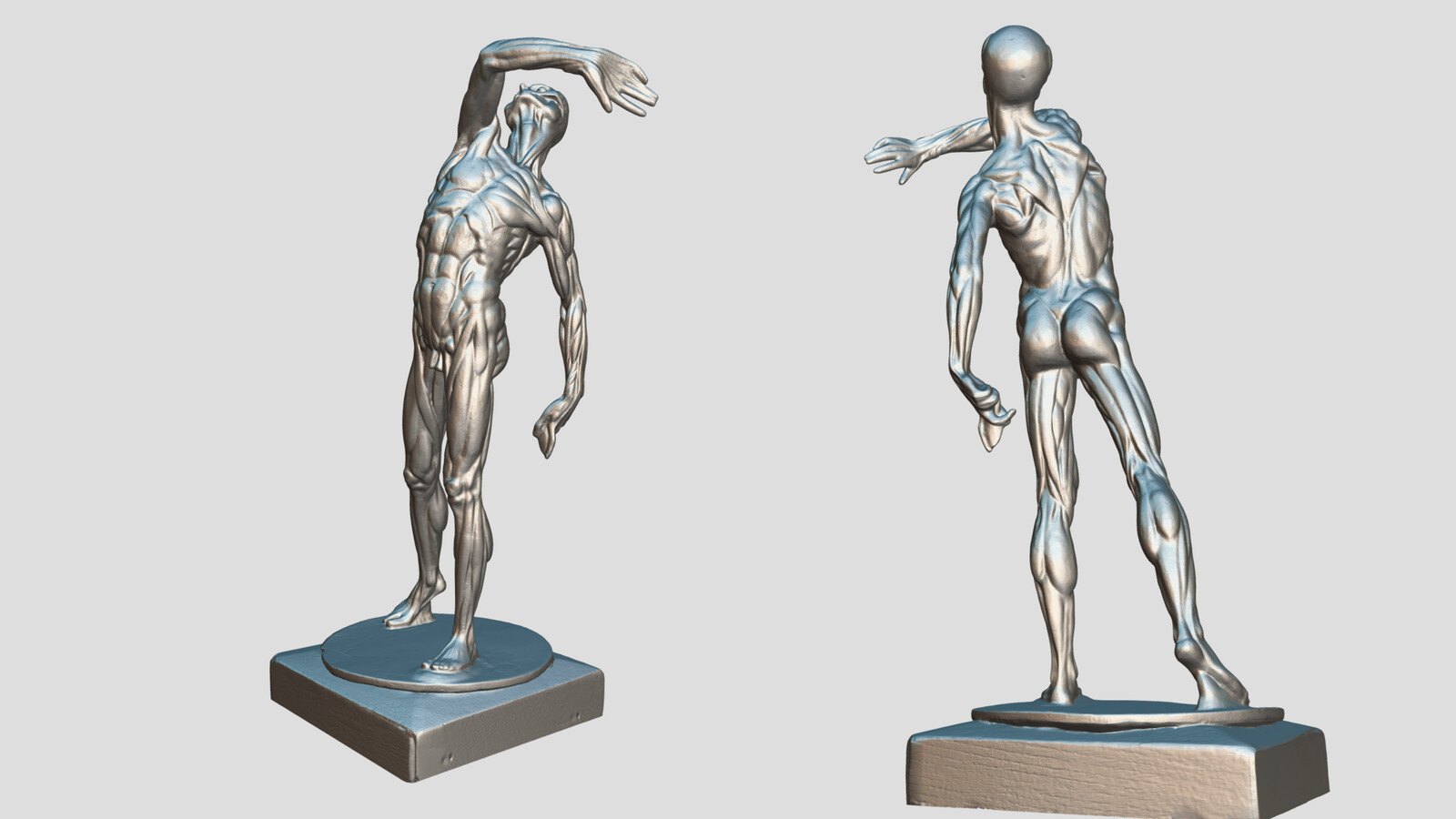 Marcin Solarz - Anatomical model II – écorché | Free download CC0