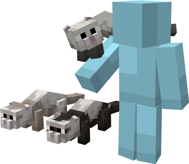 ArtStation - Ferrets