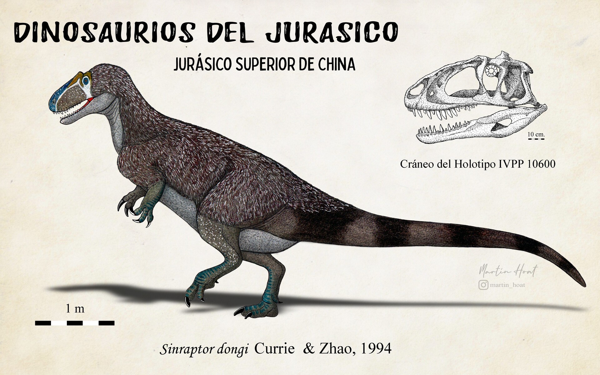 ArtStation - Sinraptor dongi representation