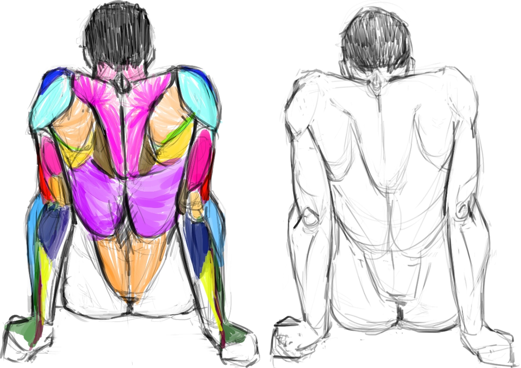 ArtStation - 09 Estudio Práctico de Anatomía en Modelo: