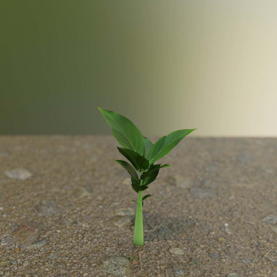 Aymara Ridgeway-Adams - Sprout Animation