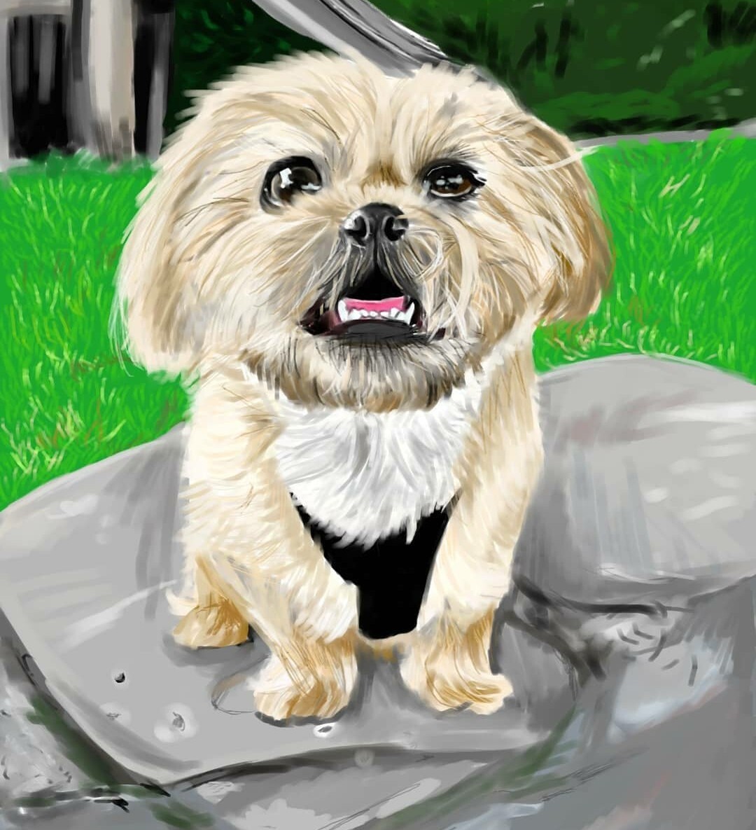 ArtStation - Digital dog drawing